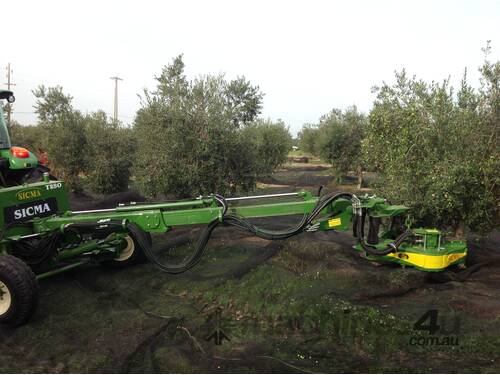 New sicma TR80 Olive harvester in Minto, NSW