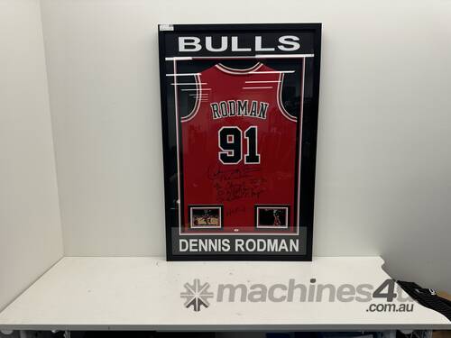 Buy Used Dennis Rodman - Bulls Truck Bullbars & Bumpers (1064645 ...