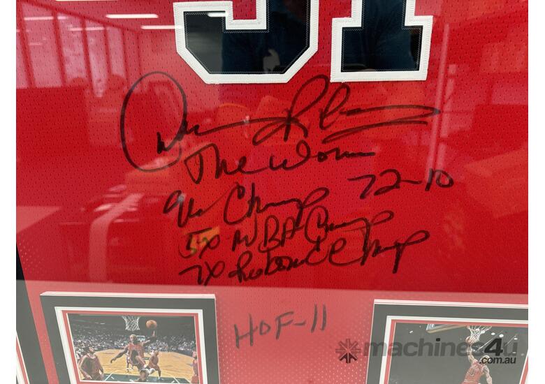 Buy Used Dennis Rodman - Bulls Truck Bullbars & Bumpers (1064645 ...