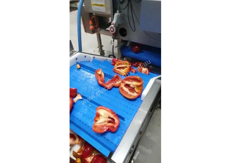 Used 2011 DoFra FoodTec BV Pepper decoring machine PD-6000 Catering ...