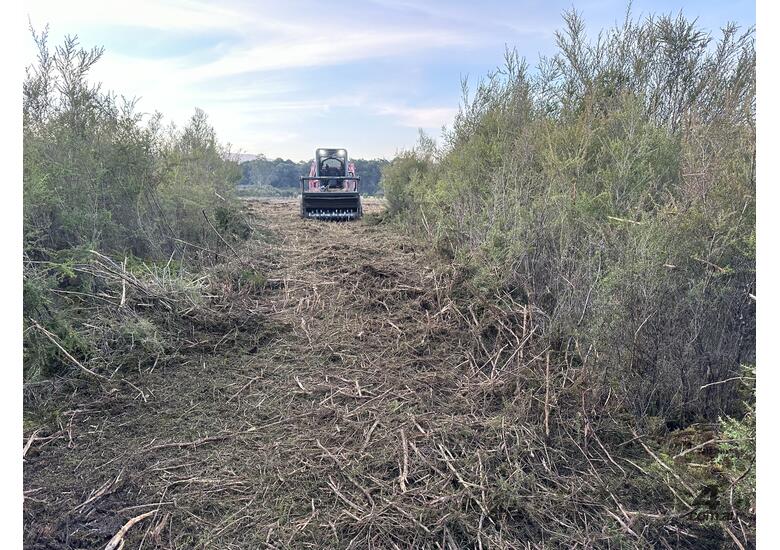 Used 2024 takeuchi TL12V2 Forestry Mulcher (1100571) - Listed on Machines4u