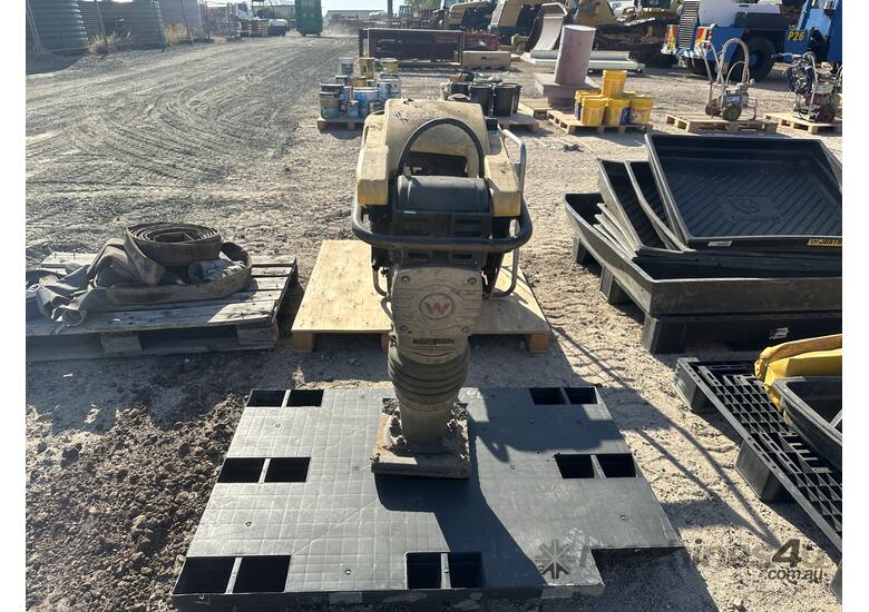 New wacker neuson 1 x Wacker Packer Plate Compactors in , - Listed on ...