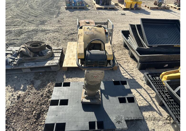 New wacker neuson 1 x Wacker Packer Plate Compactors in , - Listed on ...