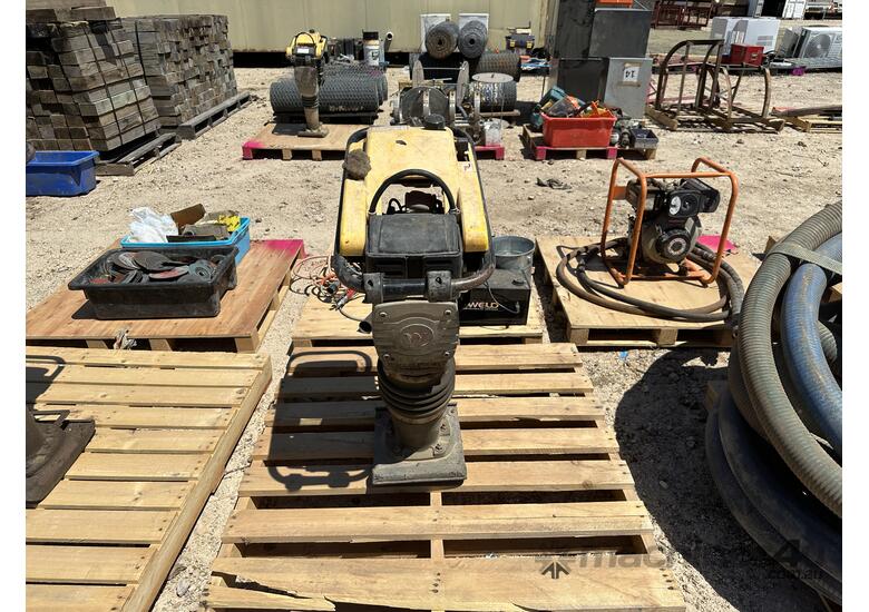 New 1 x Wacker Packer Plate Compactors in , - Listed on Machines4u