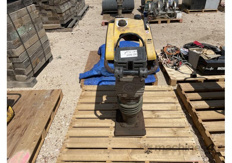 New 1 x Wacker Packer Plate Compactors in , - Listed on Machines4u