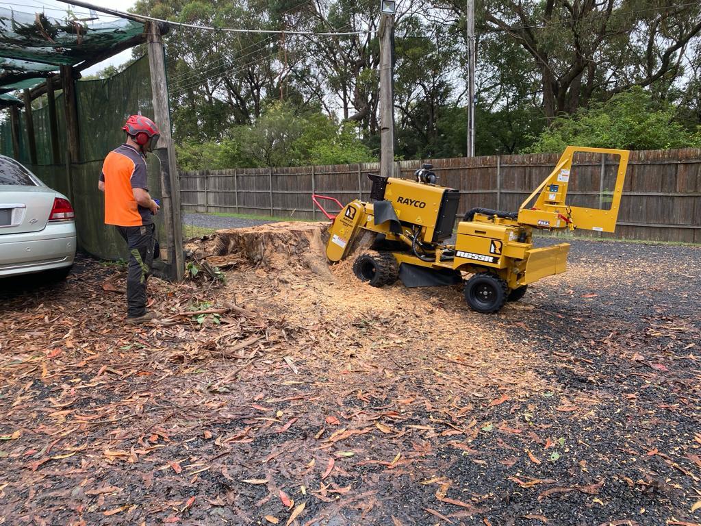New 2023 rayco RG55 Wheeled Stump Grinders in TAMWORTH, NSW (917694)